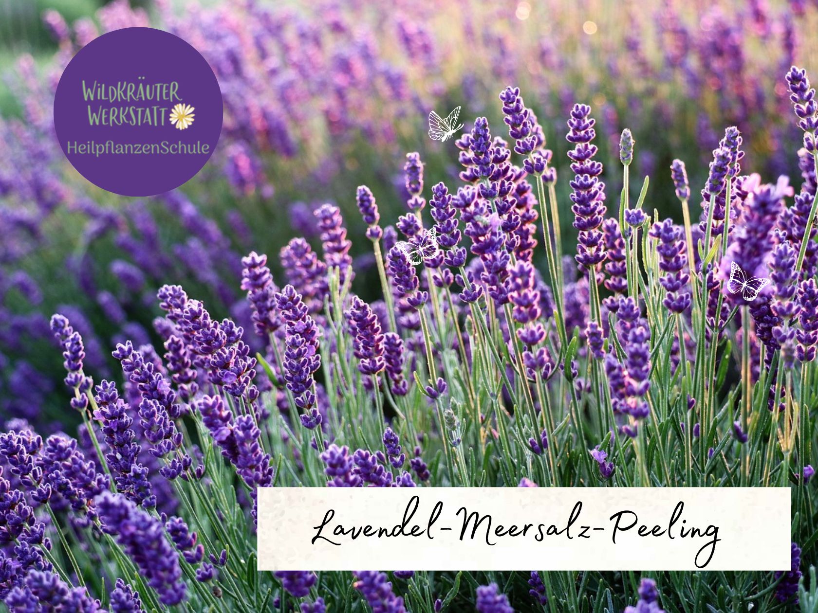 Lavendel-Meersalz-Peeling – Wildkräuterwerkstatt