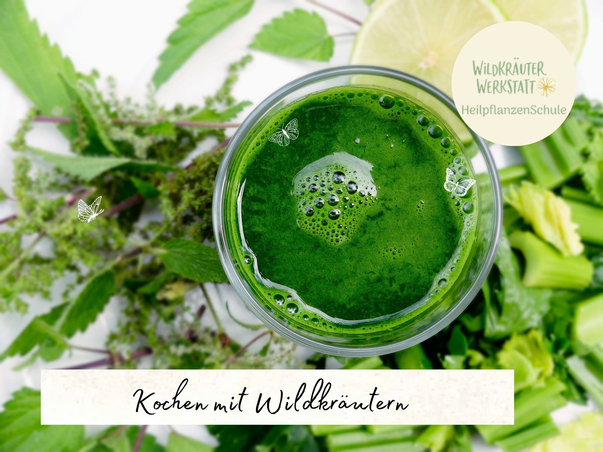 Kochen mit Wildkräutern – Entdecke die Schätze der Natur! 🌿 – Wildkräuterwerkstatt